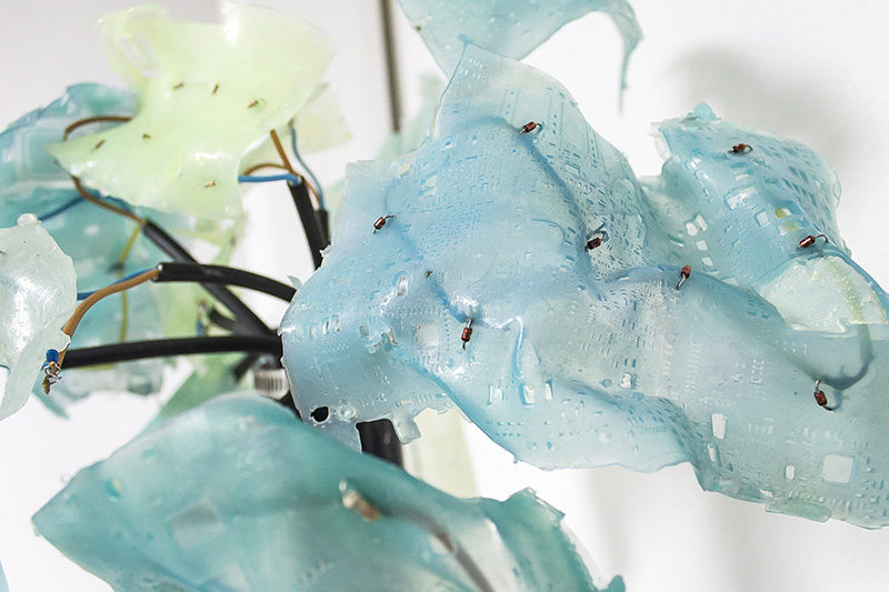 Gillian BRETT - Documents d'artistes PACA